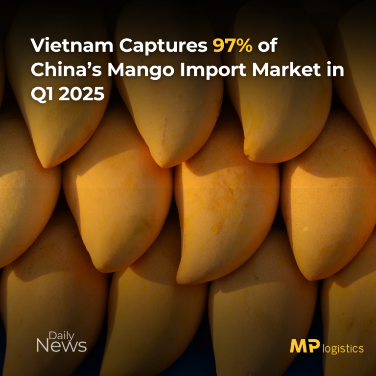 Vietnam Captures 97% of China’s Mango Import Market in Q1 2025 | MP ...